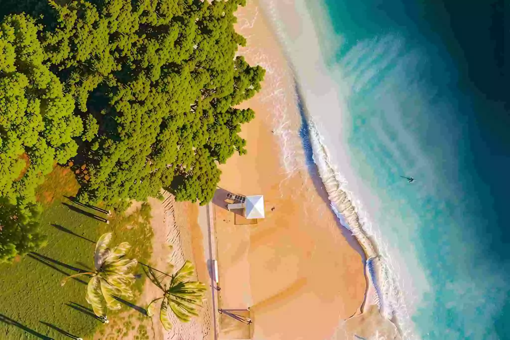 AI Blur Remover—Remove Blur from Your Images Completely